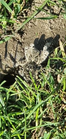 nechceny navstevnik - Voľné diskusie | Modrastrecha.sk