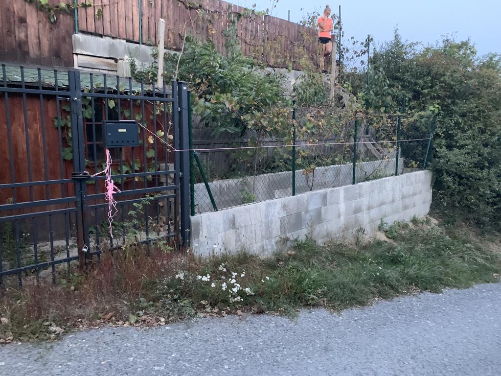 oporný múr z Gabionov - Záhrada | Modrastrecha.sk