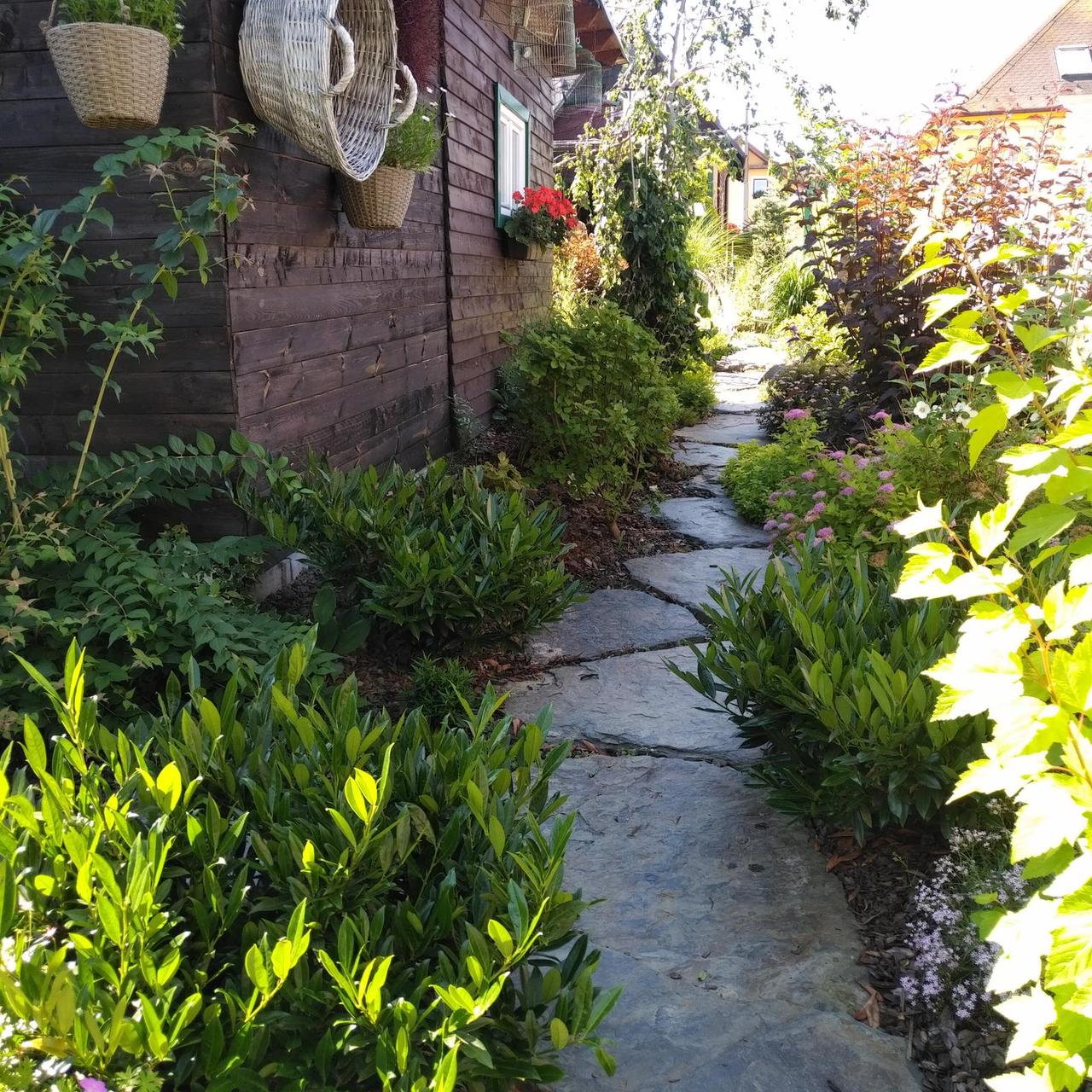 Plot - Inšpirácie | Modrastrecha.sk